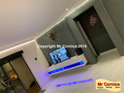 LJ 01 - LED Downlight cornice (per 2 m length) – Mr Cornice