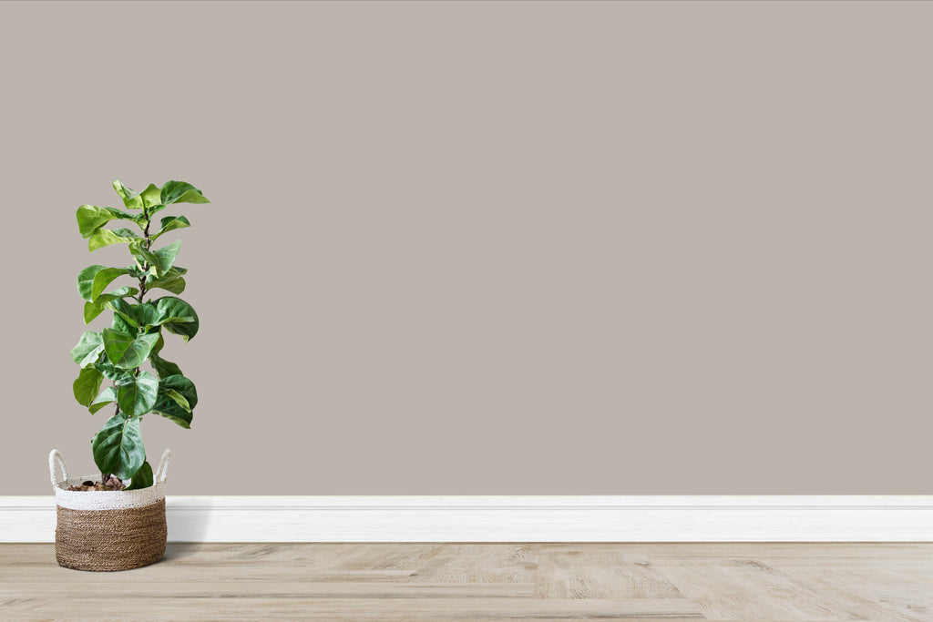 S-150 Shadowline Skirting (150mm x 16mm x 2.7m) Per 2.7m length – Mr ...